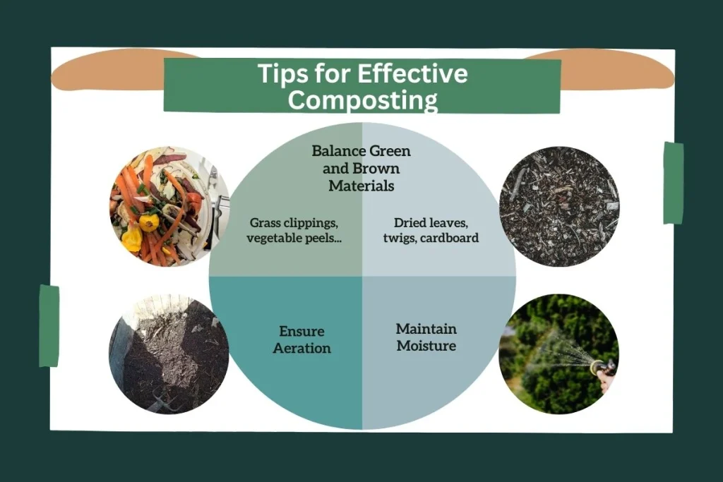 Sustainable Agriculture: No-Dig Gardening Meets Regenerative ...