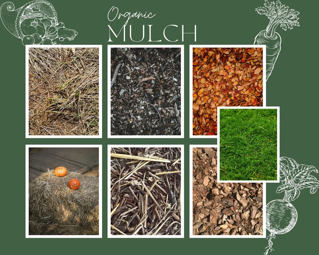 The Magic of Mulching: Boost Your Garden with Mulch | Petit Garden Paradise