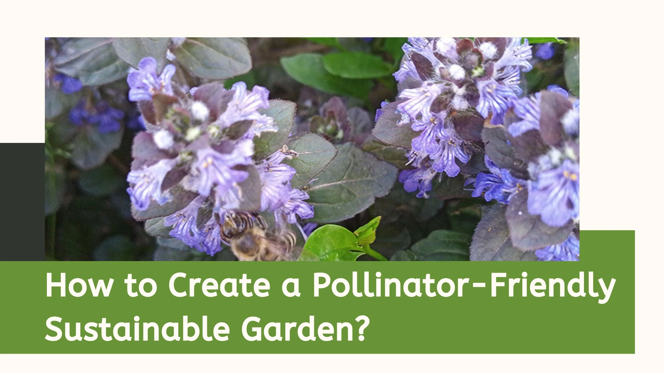 How to Create a Pollinator-Friendly Sustainable Garden? | Petit Garden ...