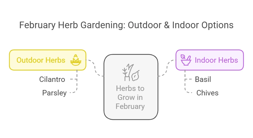 What to Plant in February: A Simple Guide | Petit Garden Paradise