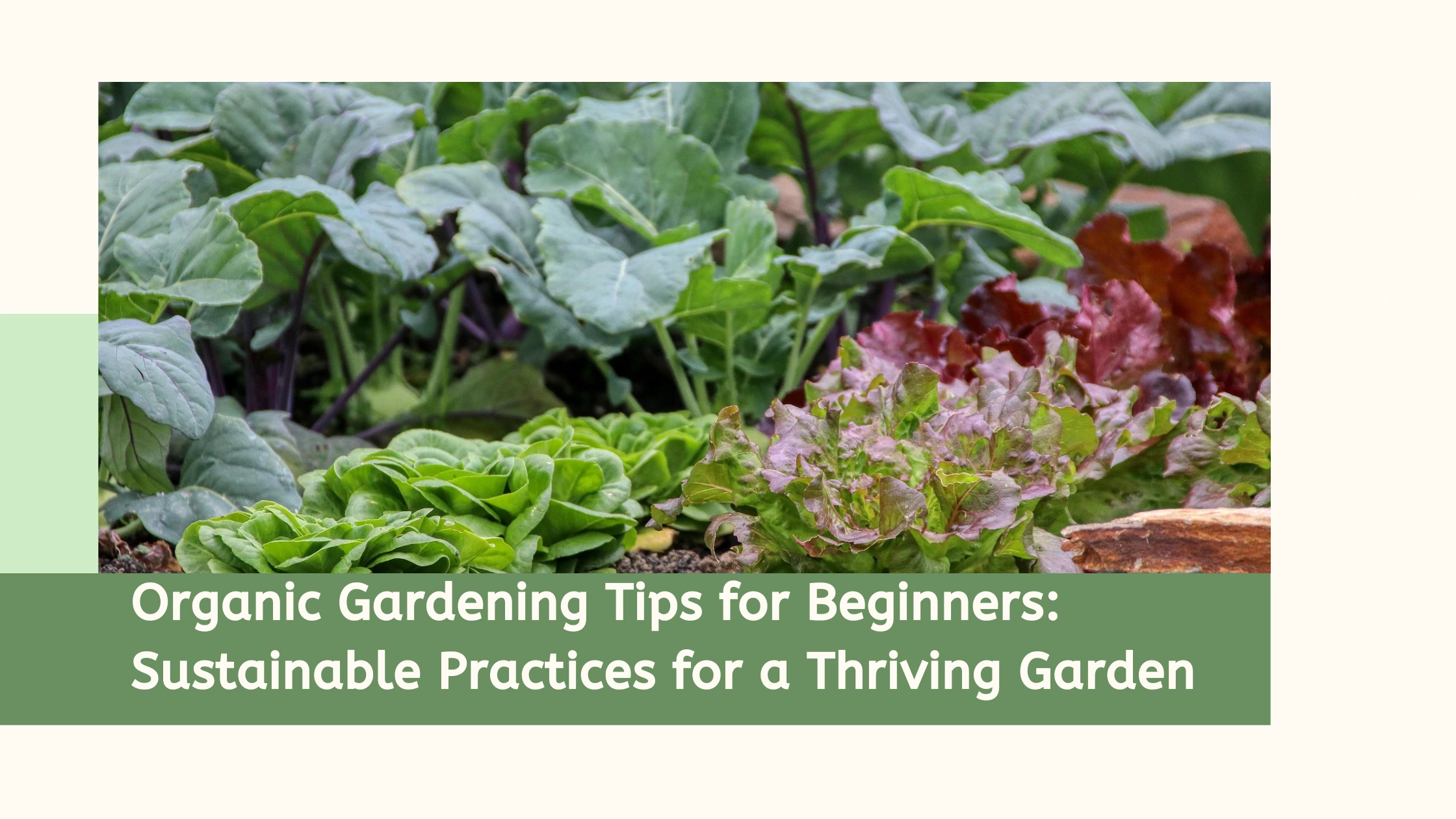Organic Gardening Tips for Beginners: Sustainable Practices for a ...